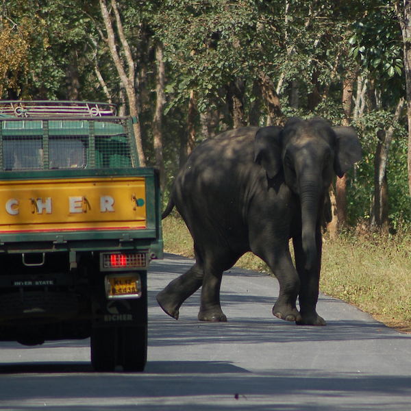 Human Wildlife Interaction - Centre for Wildlife Studies