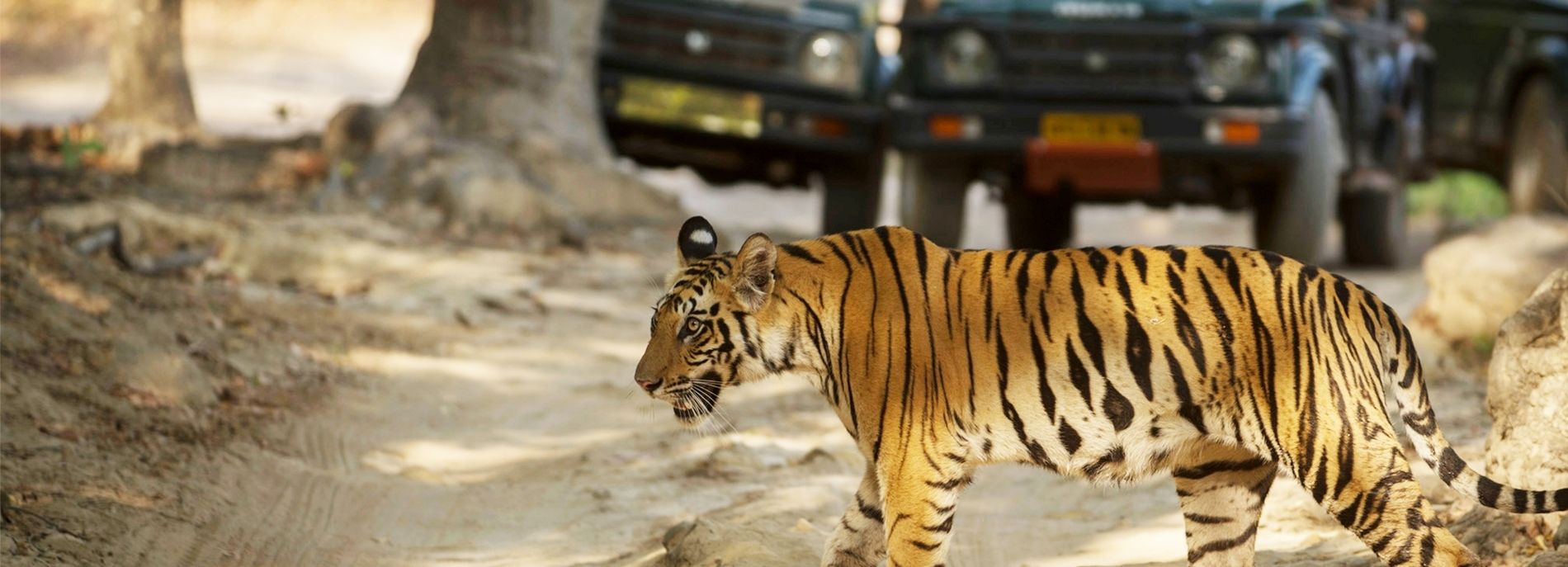 Nature Based Tourism - Centre for Wildlife Studies